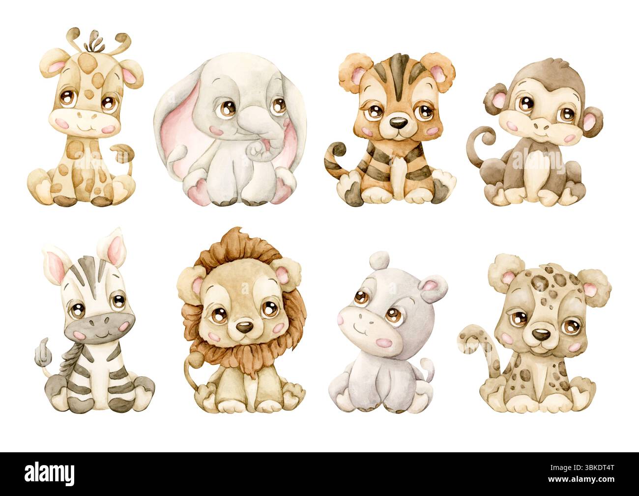Cute Tropical Safari animals Clipart Set Adorable African wildlife ...