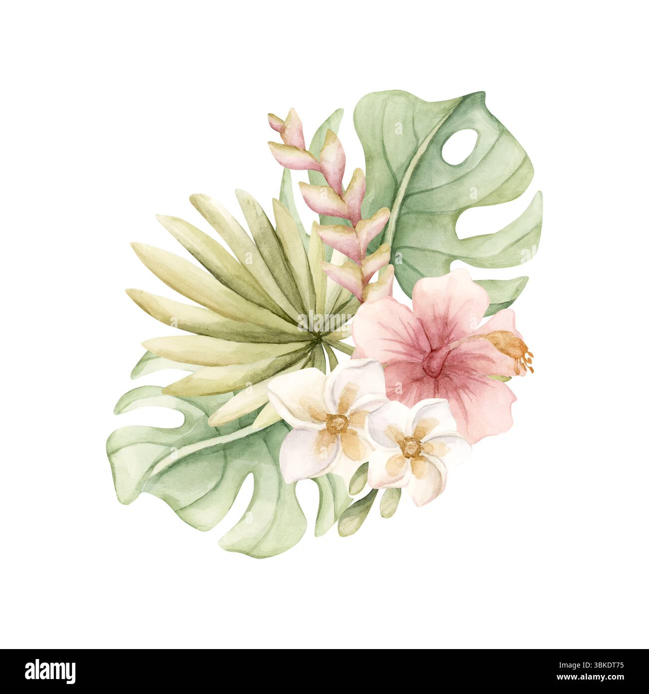 Tropical Hibiscus Plumeria Heliconia Monstera leaves. Exotic African ...