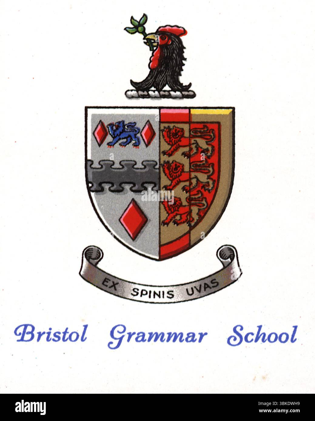 The coat of arms for Bristol Grammar School which was founded by ...