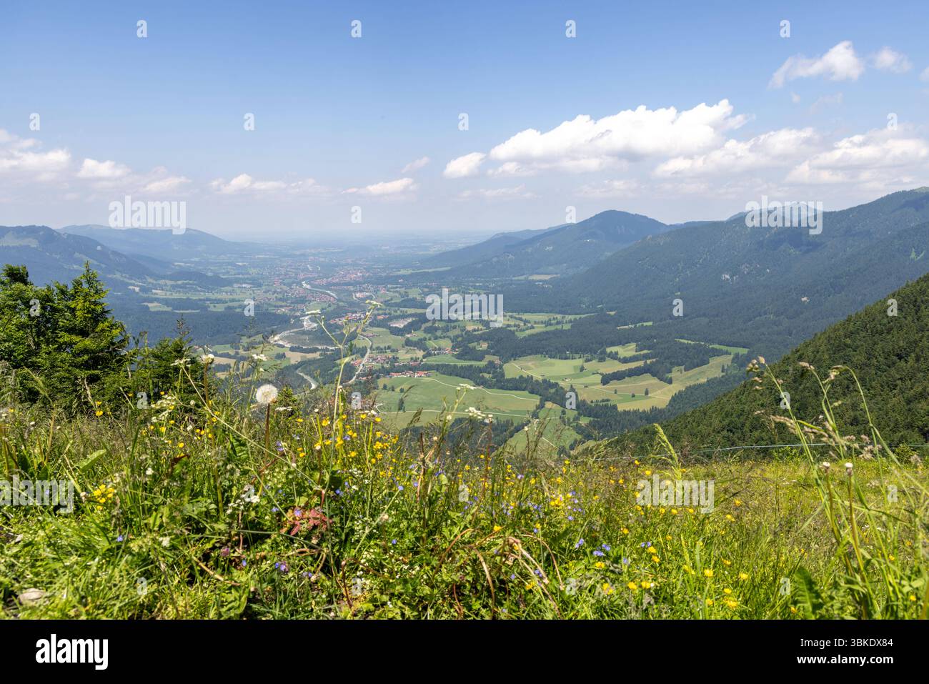 Sommer in den Alpen Ausblick von der Hochalm auf das Isartal mit ...