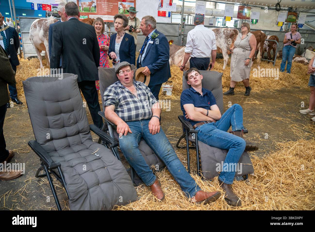A couple of farmers sleep as The Princess Royal tours the cattle stalls ...