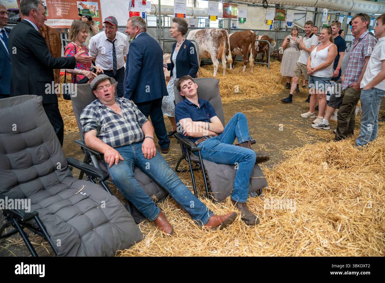 A couple of farmers sleep as The Princess Royal tours the cattle stalls ...