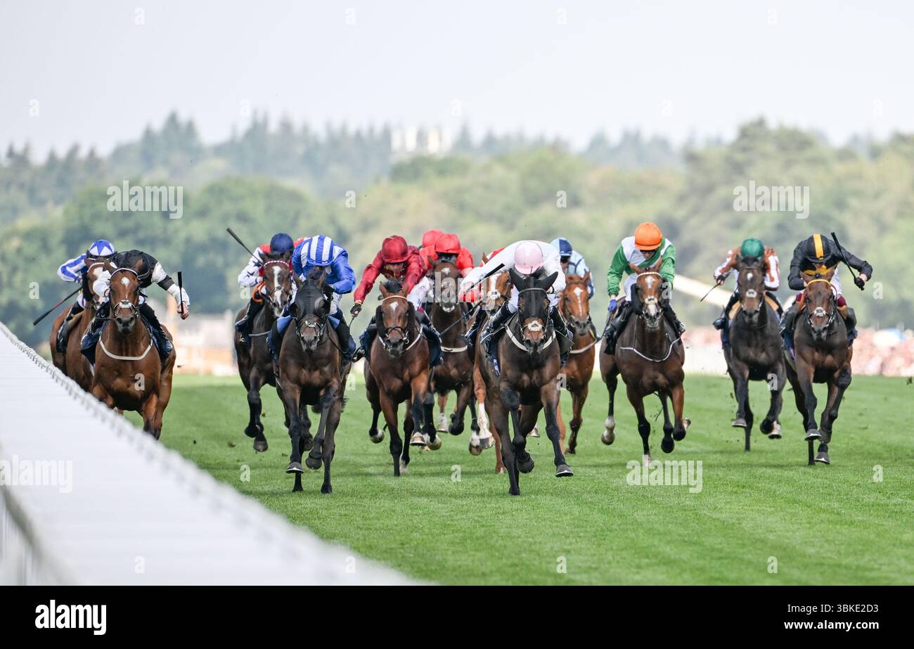 Ethical diamond royal ascot horse hi-res stock photography and images ...