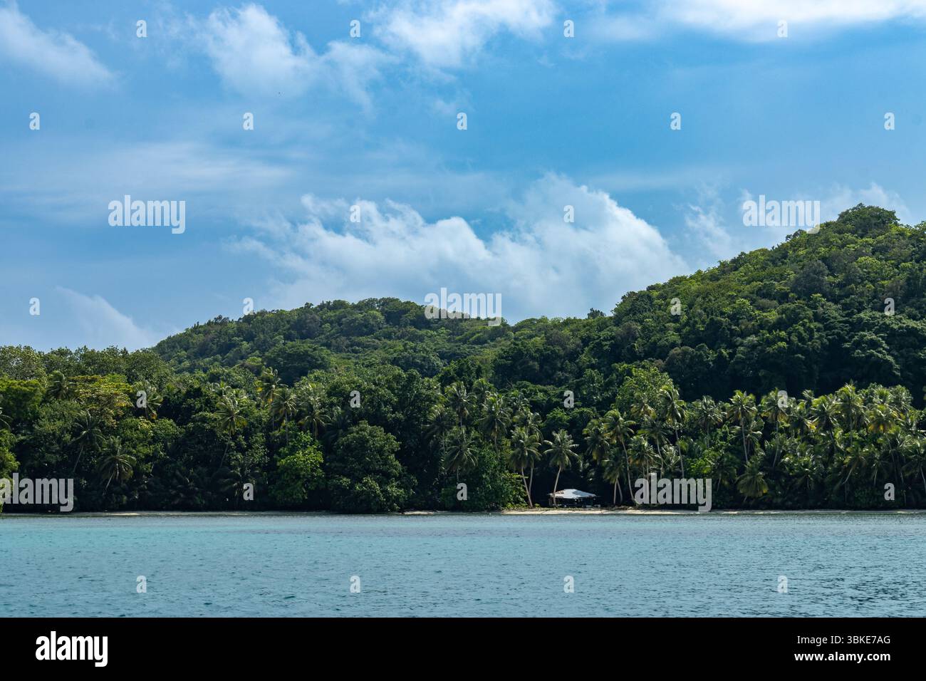 A lush, green island rises from the turquoise waters, its dense ...