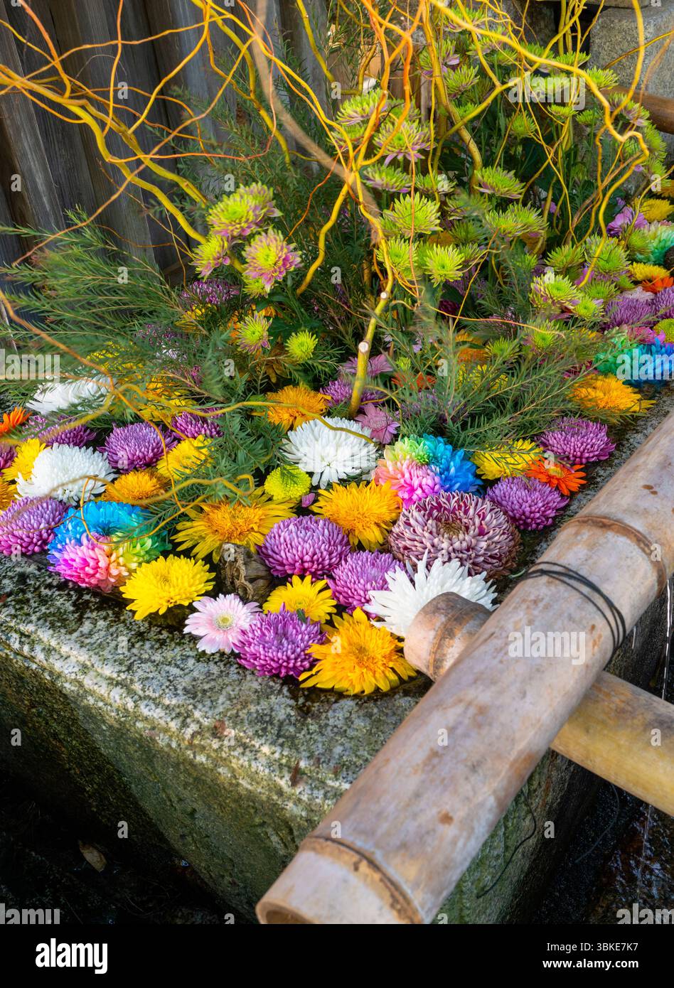 A Chozu-ya or Temizu-ya, a water purification fountain found in many ...