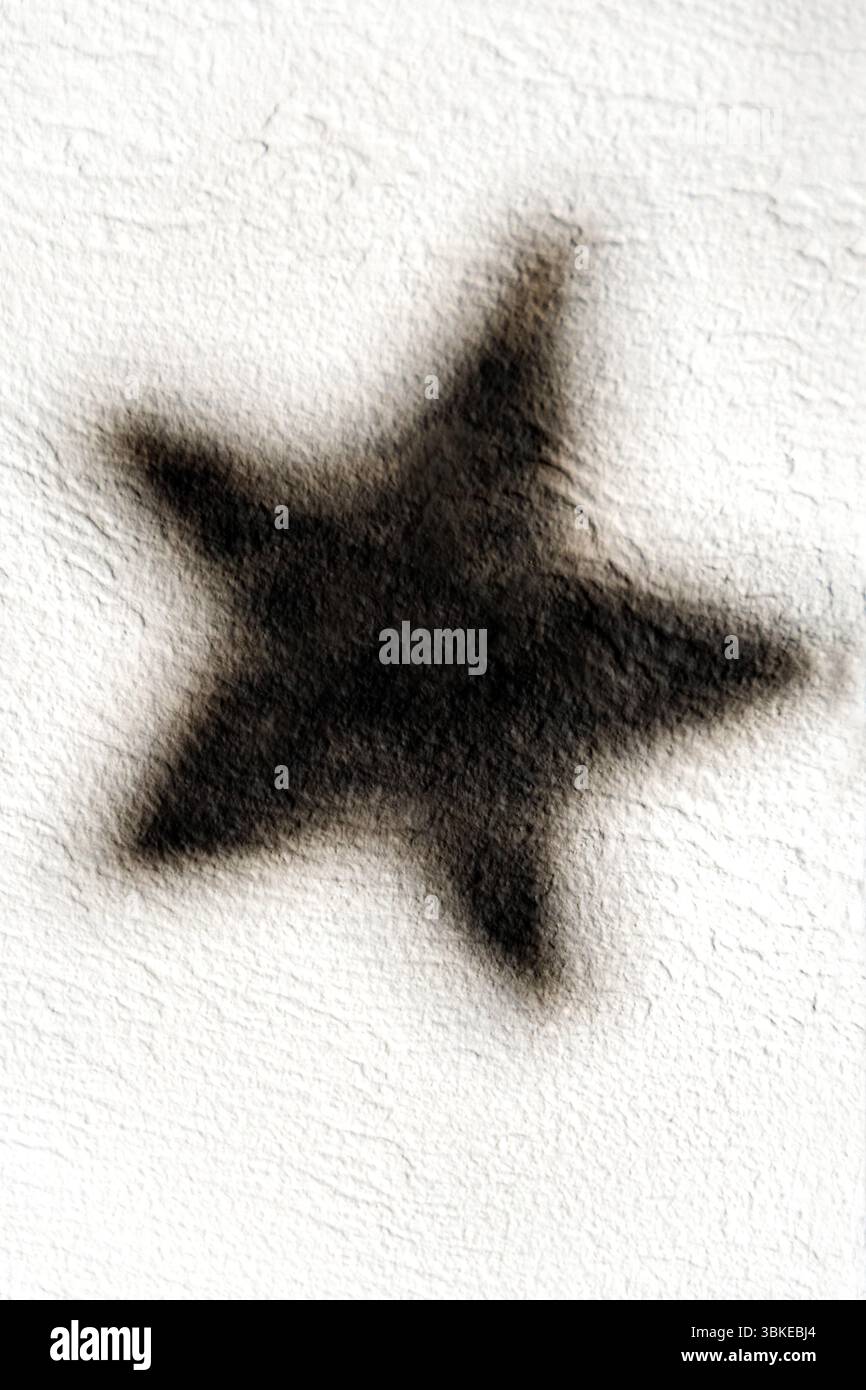A dark star-shaped shadow is visible on a light-textured wall, creating ...