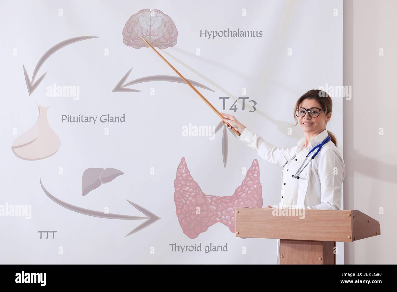 Healthcare professional giving lecture about thyroid hormones in ...