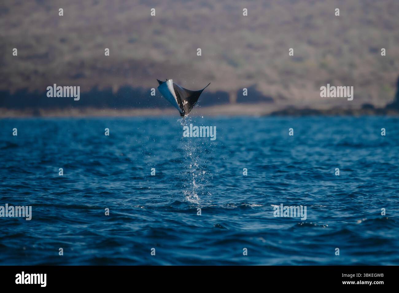 Tiburon island mexico hi-res stock photography and images - Alamy