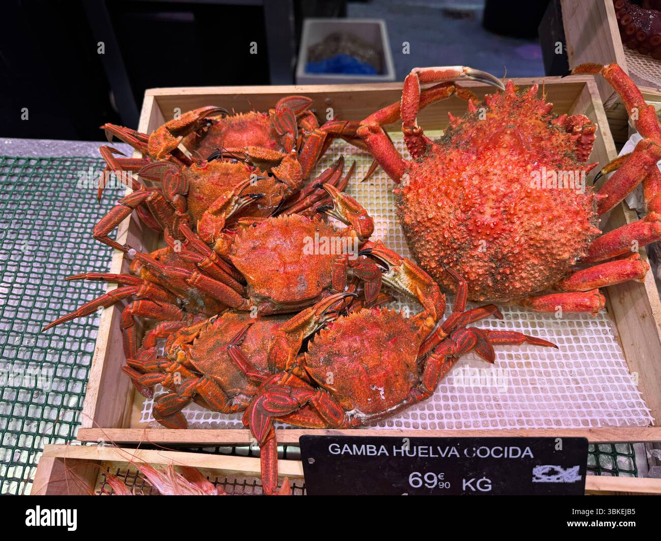 Necoras y centollo hi-res stock photography and images - Alamy