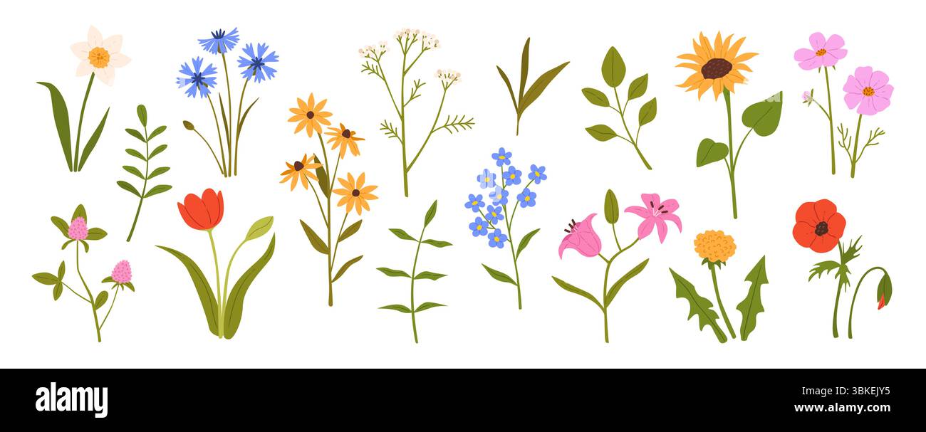 Poppy daisy field vibrant Stock Vector Images - Alamy