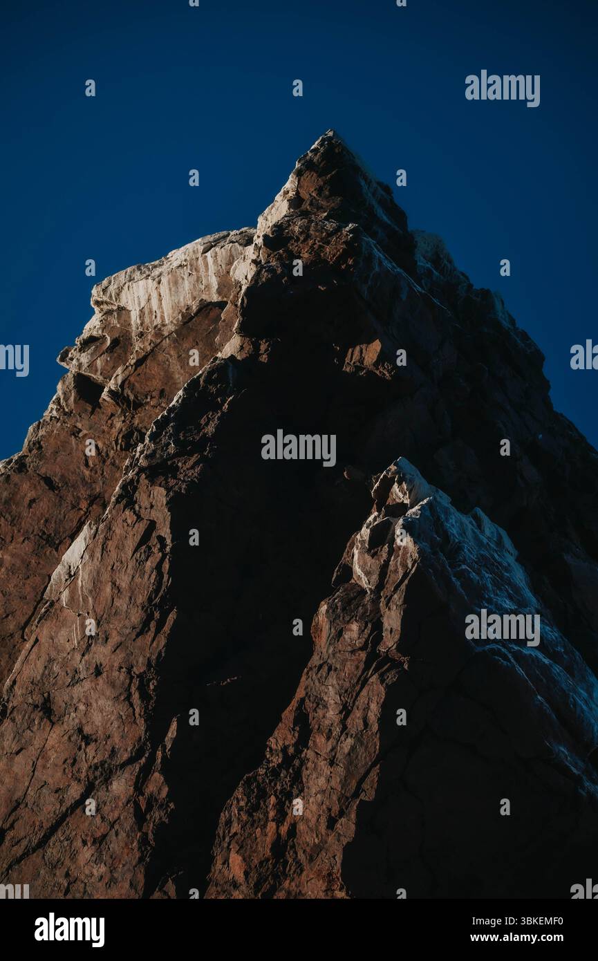 Seagull and guano on the slabs of a cliff on Tiburón Island or Isla del ...