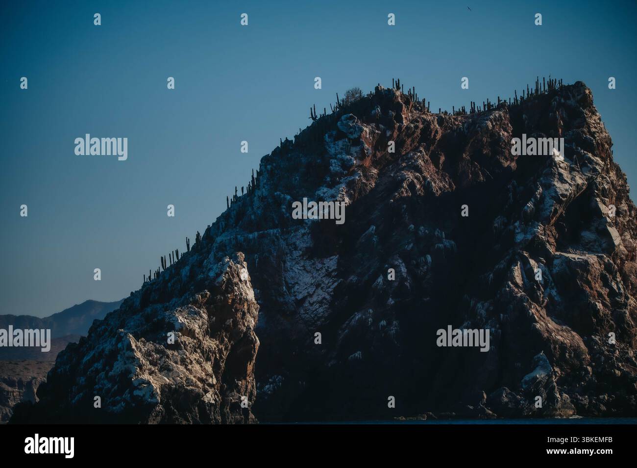 Seagull and guano on the slabs of a cliff on Tiburón Island or Isla del ...