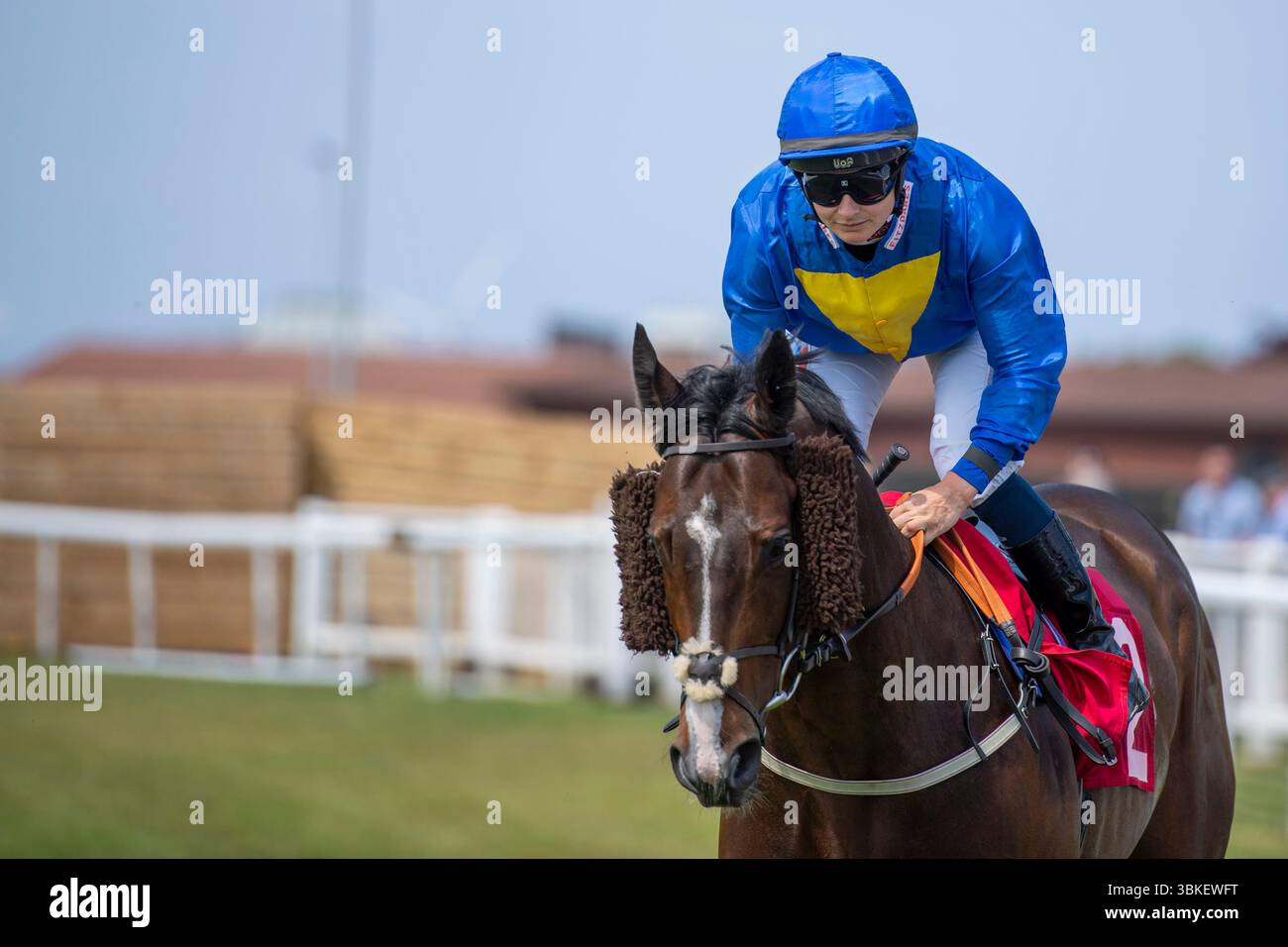 MONSIEUR FANTAISIE (IRE) ridden by Joanna Mason and trained by Roger ...