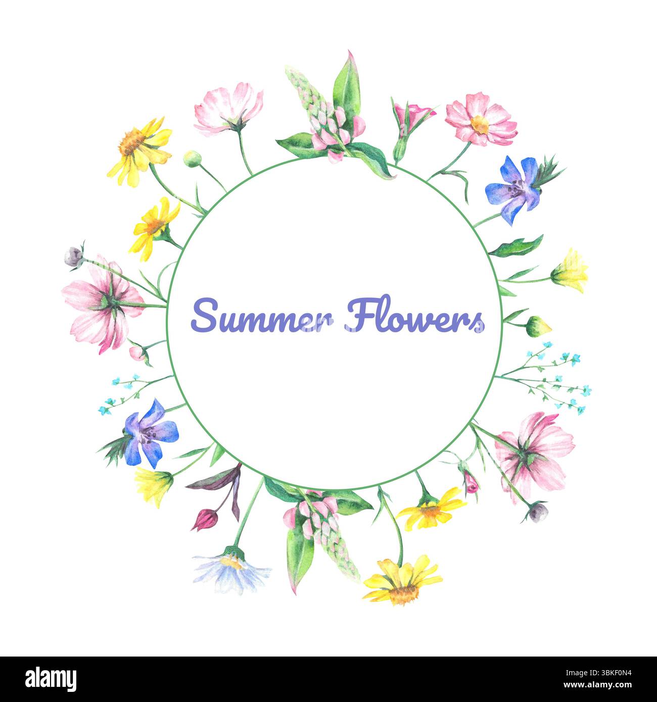 Botanical wild flowers watercolor frame Cut Out Stock Images & Pictures ...