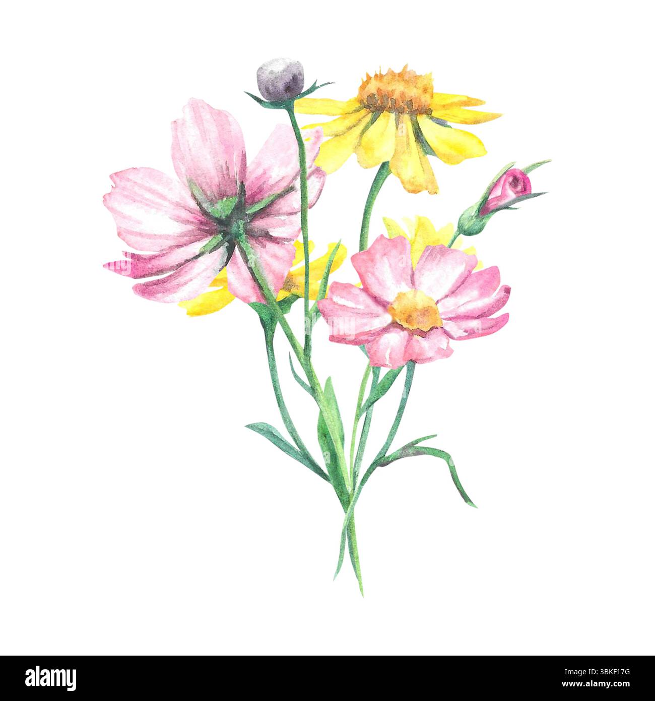 Watercolor romantic illustration hi-res stock photography and images ...