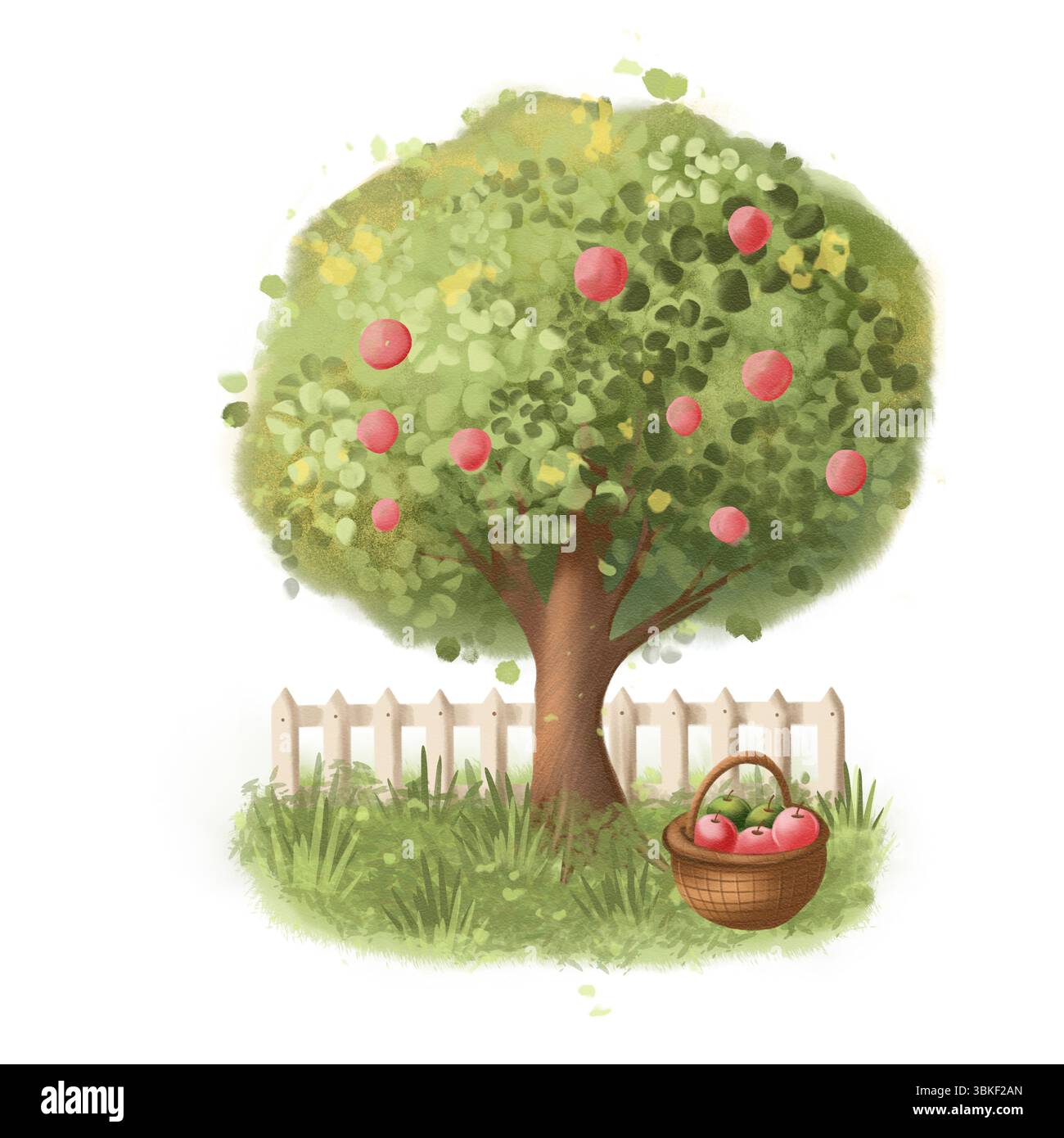 Apple tree with red fruits, green grass, wooden fence and basket of ...