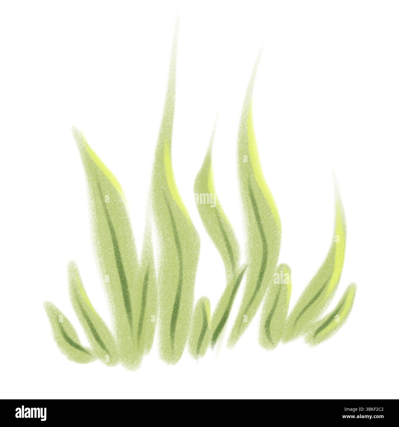 Green cartoon grass tuft with soft texture and natural shapes. Hand ...