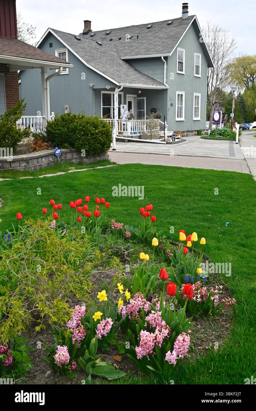 Building with tulips in the front yard Stock Photo - Alamy