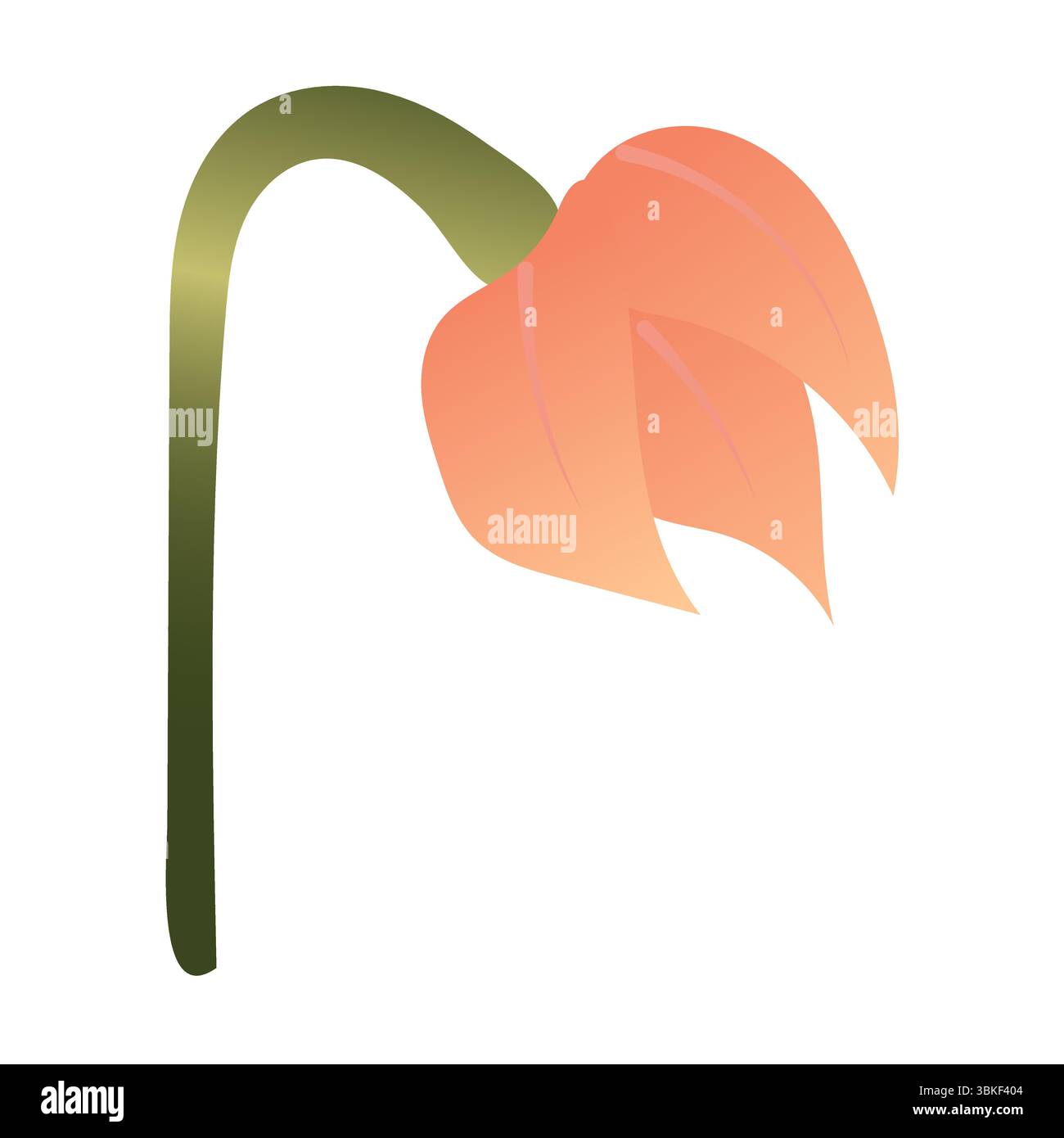 Simple cute light pink flower. Vector illustration isolated on white ...