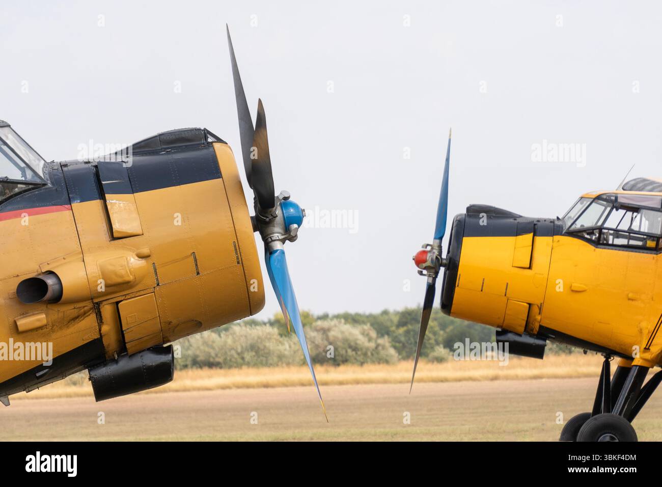 Two yellow biplanes of old Soviet-made AN-2 transport aircraft facing ...