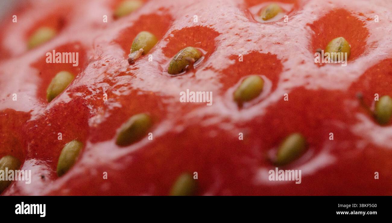 Extreme Detailed close-up macro shot of red textured strawberry with ...
