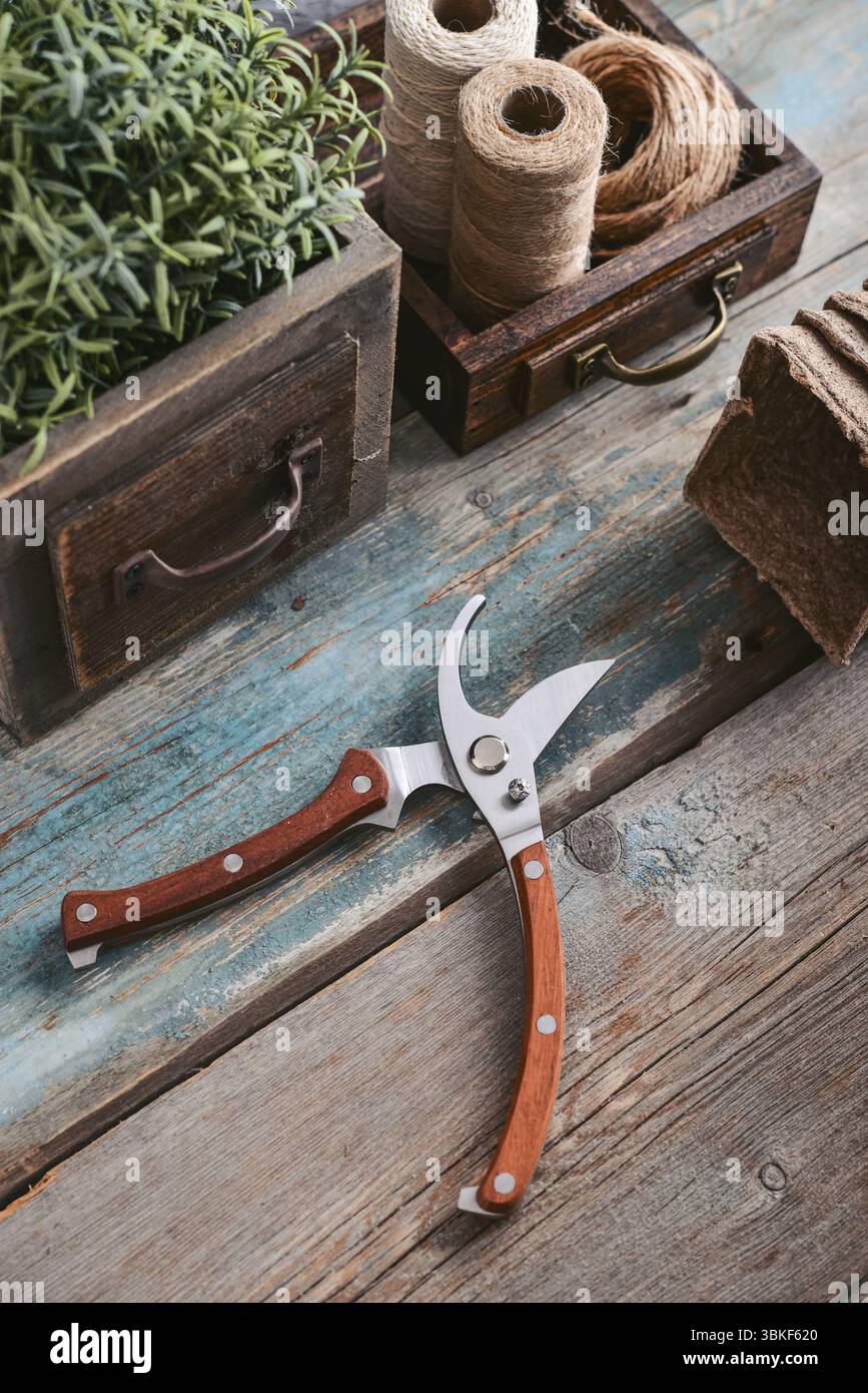 Stylish vintage pruning shear with wooden handles with skeins of jute ...