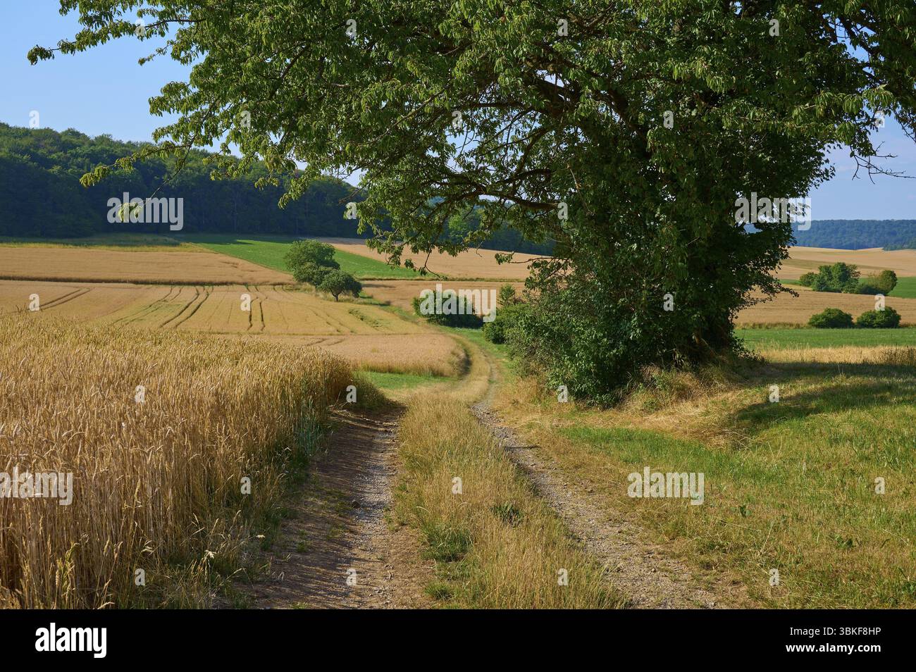 Field path runs under hi-res stock photography and images - Alamy