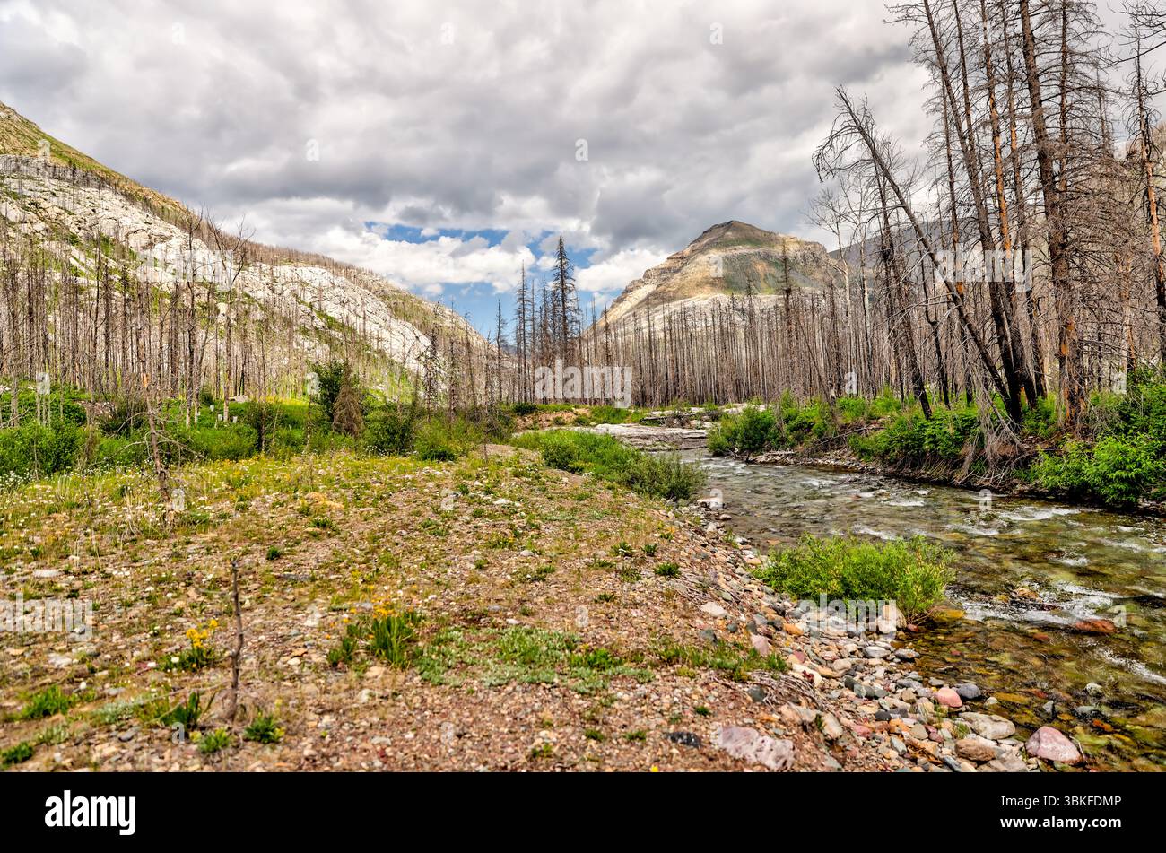 Landscape scenery in and around Cameron Lake in the Canadian Rocky ...