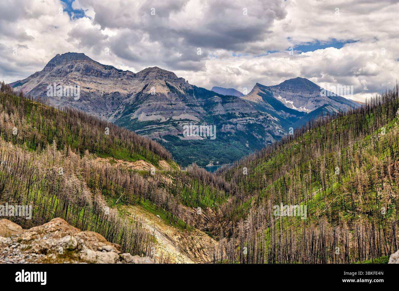 Landscape scenery in and around Cameron Lake in the Canadian Rocky ...