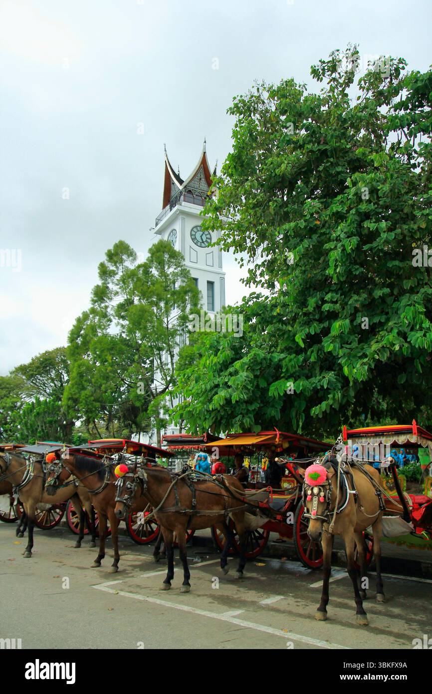 Dokar, a traditional means of transportation pulled by horsepower ...