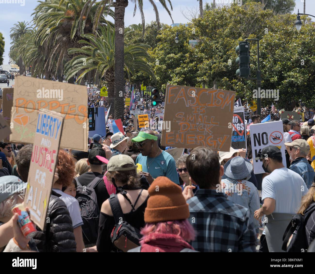 A large crowd of protestors gather at Mission Delores Park during the ...