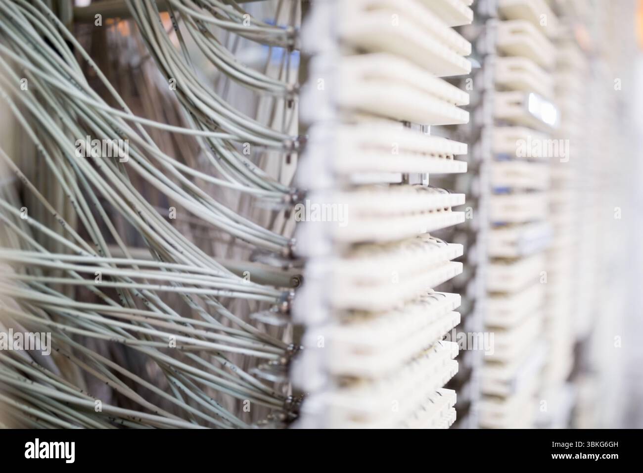 Flat design rack is showing grey cables featuring white patch blocks ...