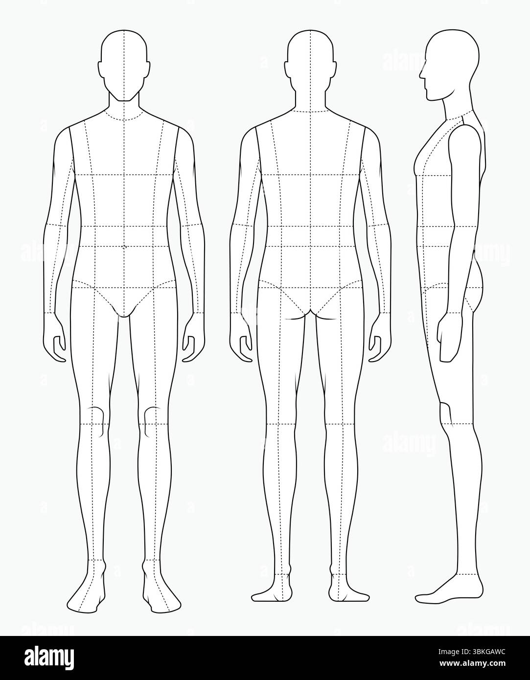 Human body front back drawing hi-res stock photography and images - Alamy