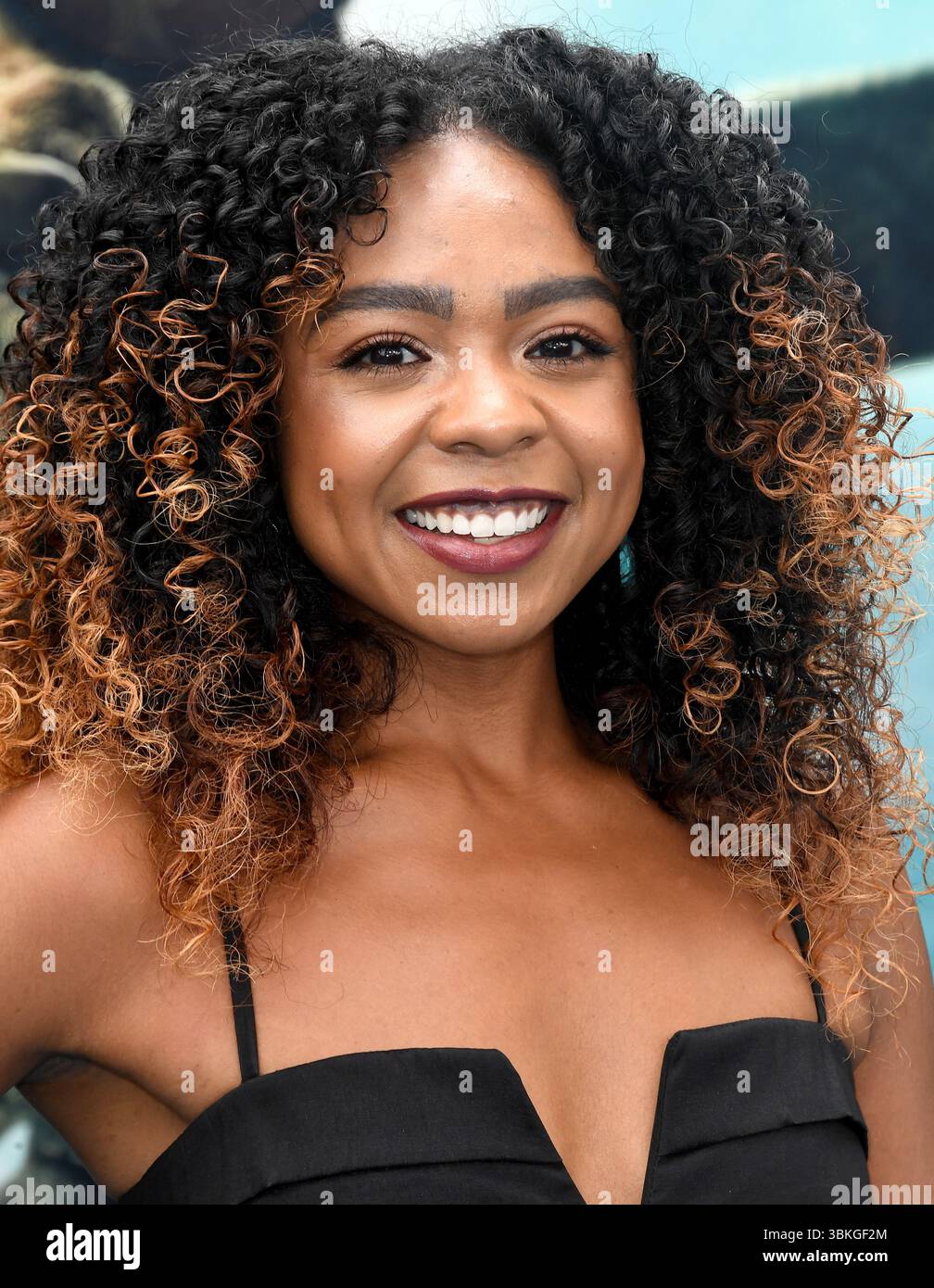 Influencer Melizza Black attends the Premiere of "How To Train Your ...