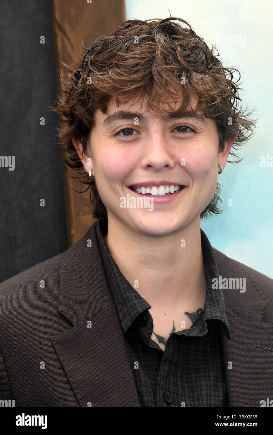 Influencer Mattie Westbrouck attends the Premiere of "How To Train Your ...