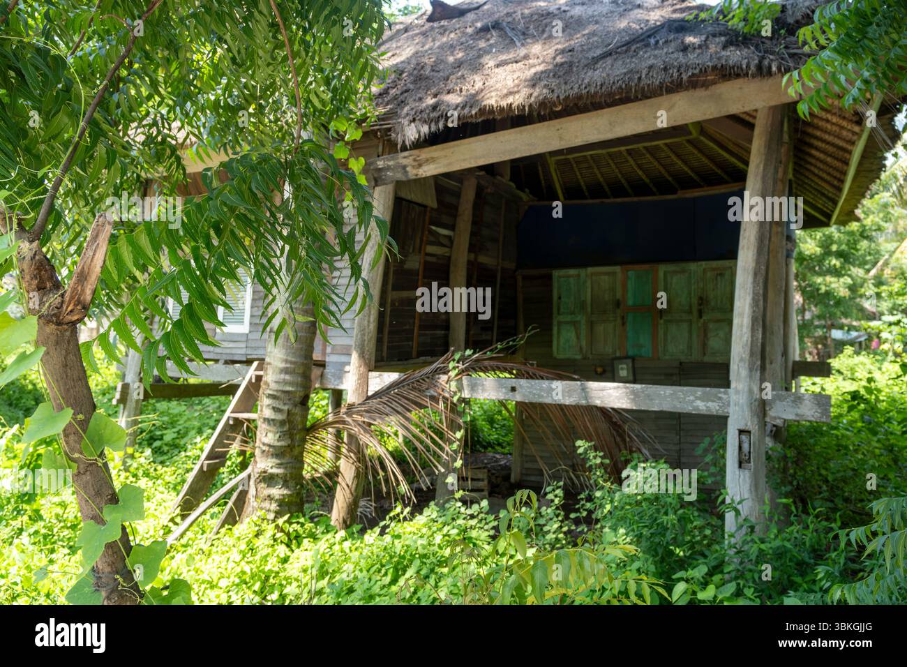 Small hut with a thatched roof and a palm tree in front of it. The hut ...