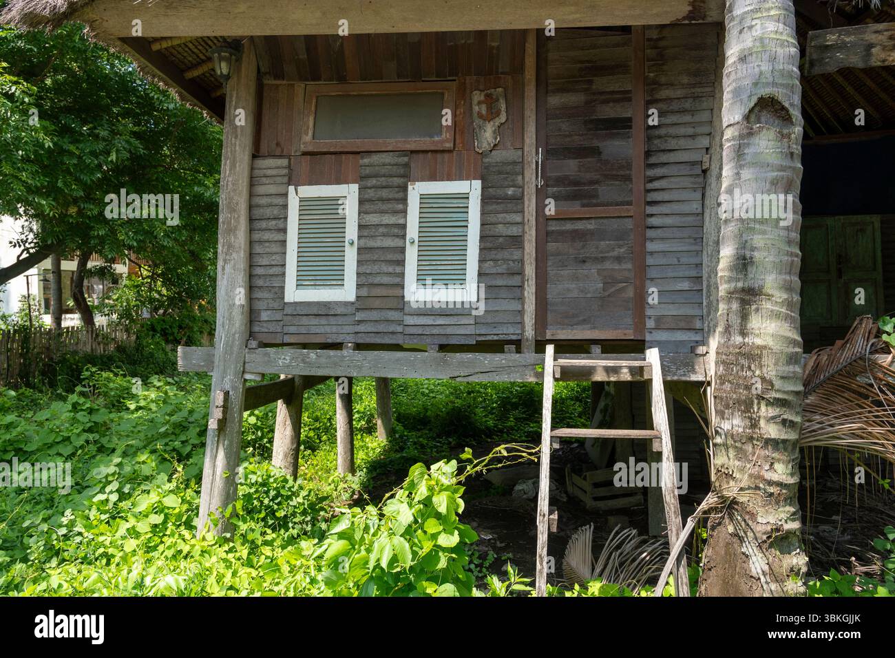 Small hut with a thatched roof and a palm tree in front of it. The hut ...