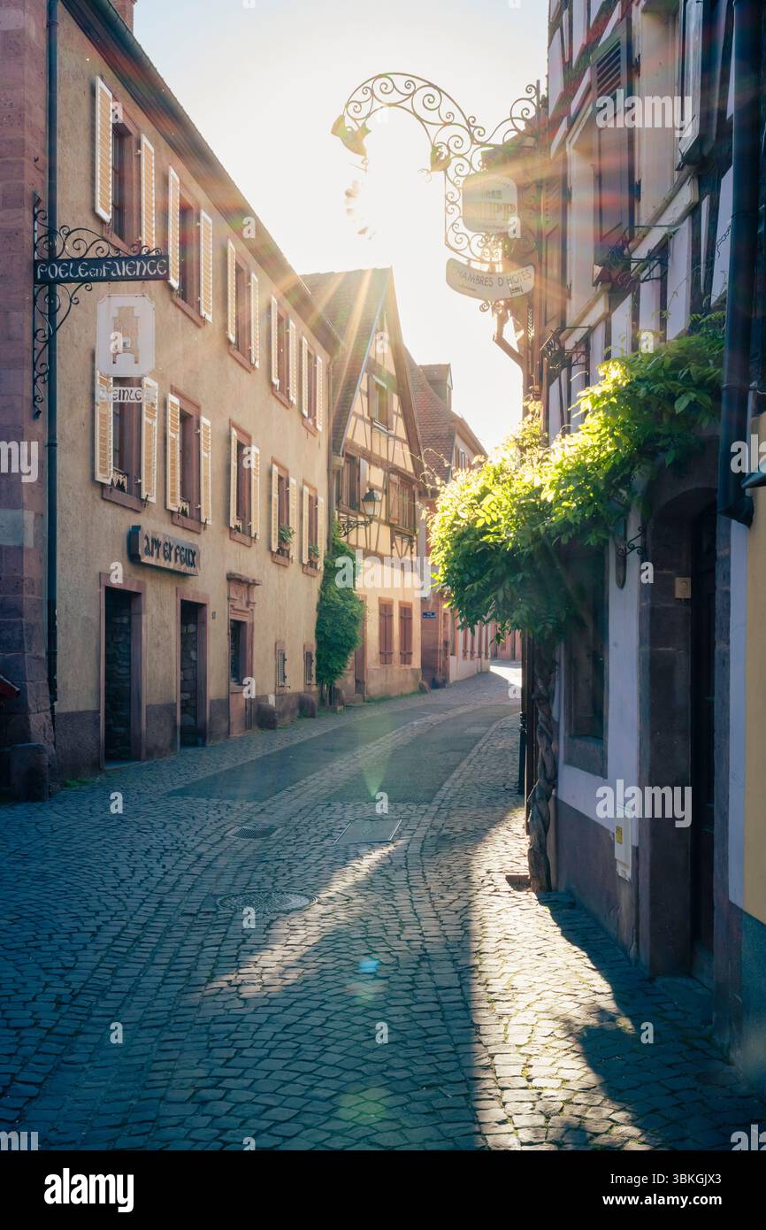 Sign in backlight on hi-res stock photography and images - Alamy