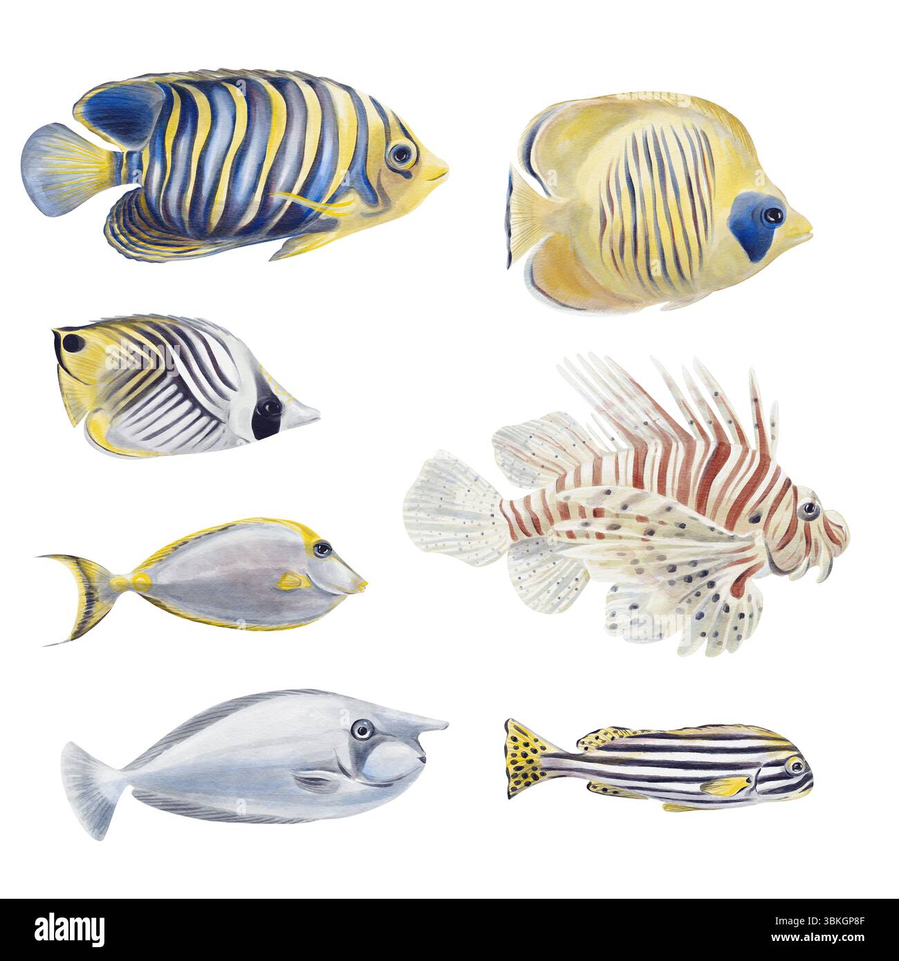 Set of tropical fish. Colorful and striped fish. Exotic animals ...