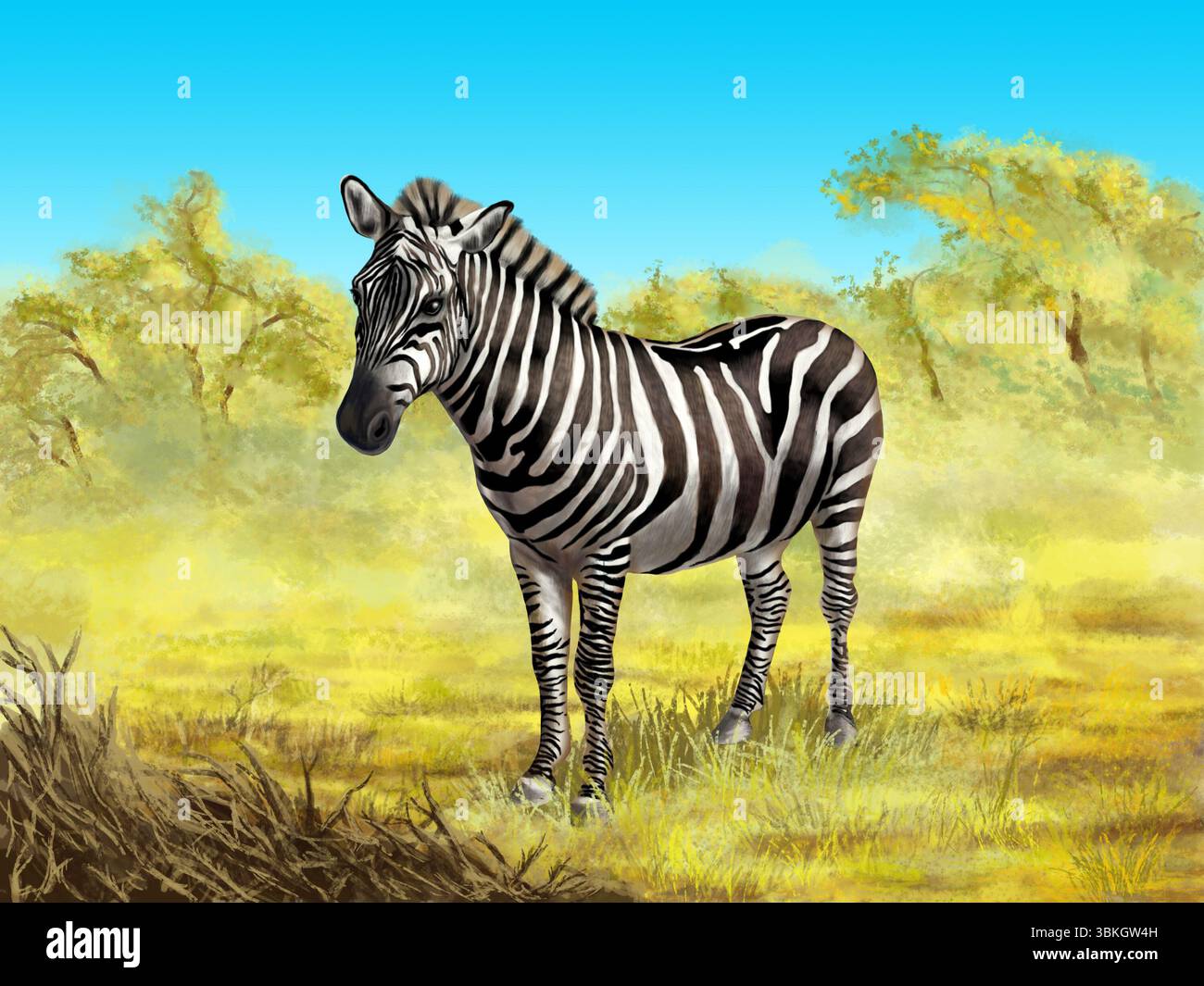 Wildlife: zebra in its native african environment. Digital illustration Stock Photo - Alamy
