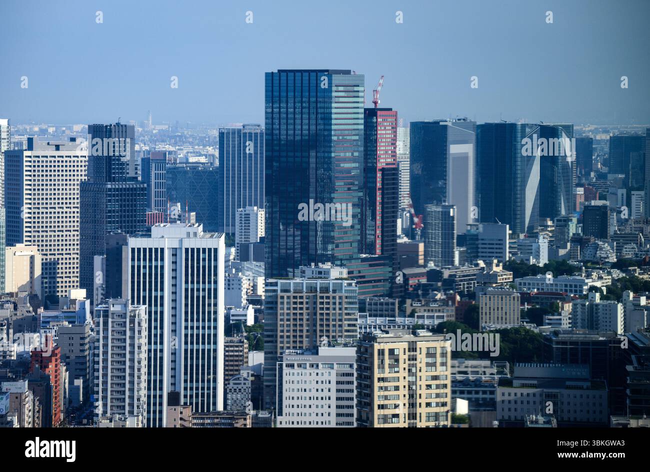19 June 2025, Japan, Tokio: High-rise buildings characterize the image ...