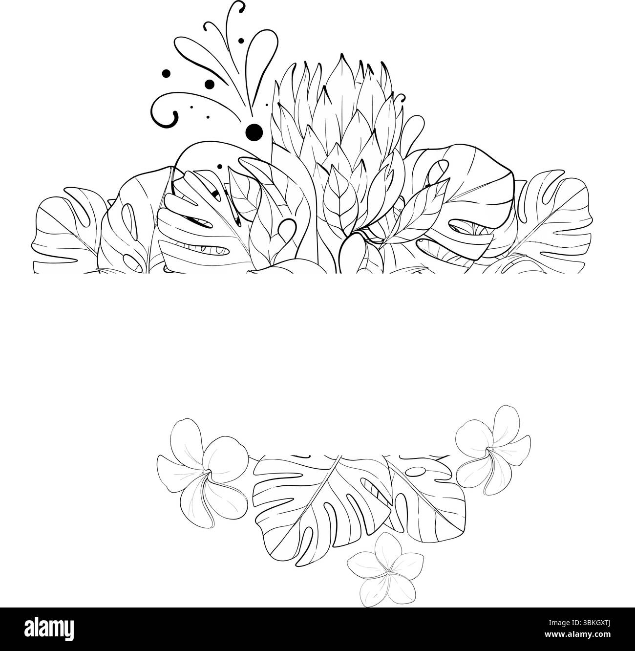 Vector tropical border - bouquet of proteas, monstera leaves, and ...
