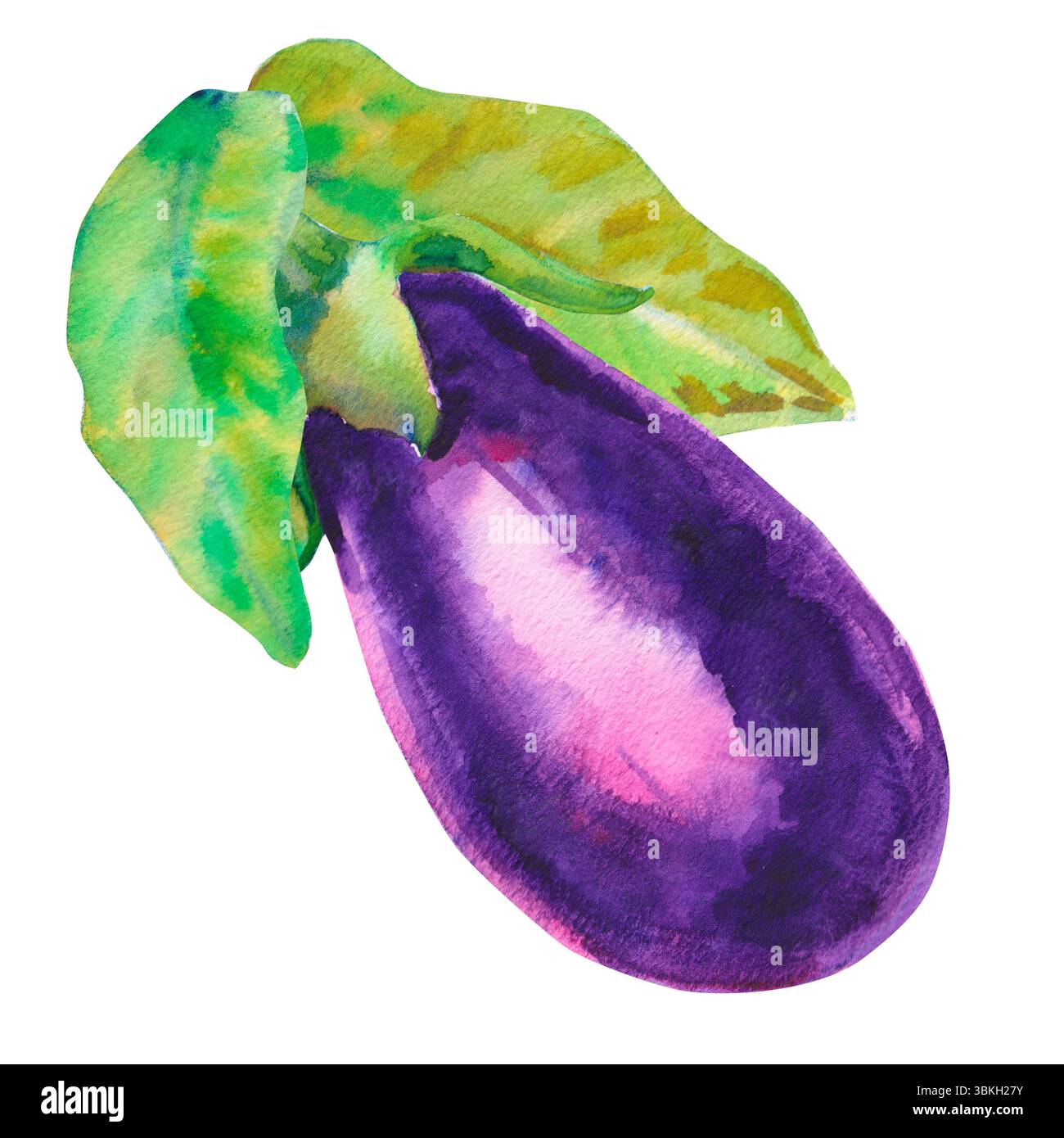 Eggplant organic aubergine sketch Cut Out Stock Images & Pictures - Alamy