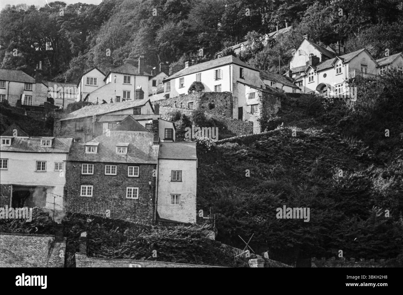 October woodland Black and White Stock Photos & Images - Alamy