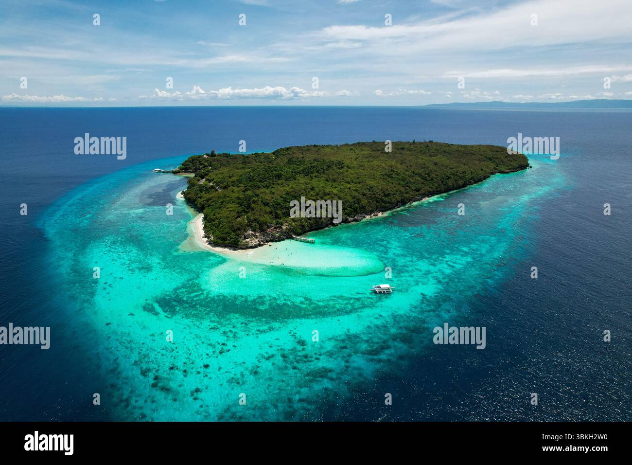 Turquoise water, coral reef, lush mangroves. Aerial view of Sumilon ...