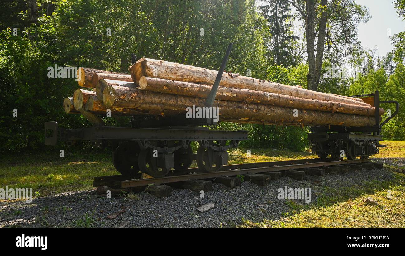 Narrow gauge railway transporting freshly cut timber through a lush ...