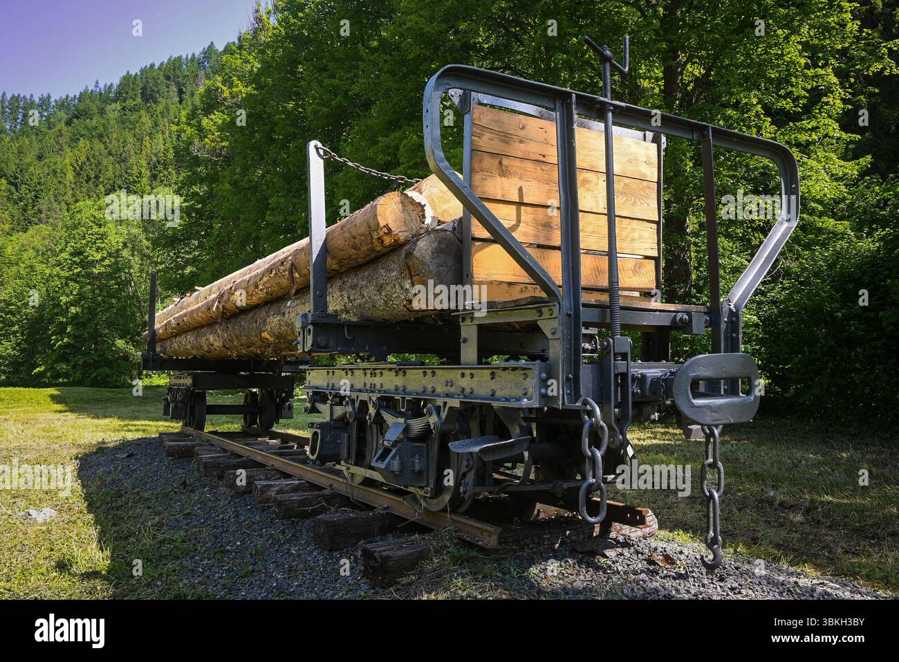 Narrow gauge logging train carrying timber in sunny forest setting ...