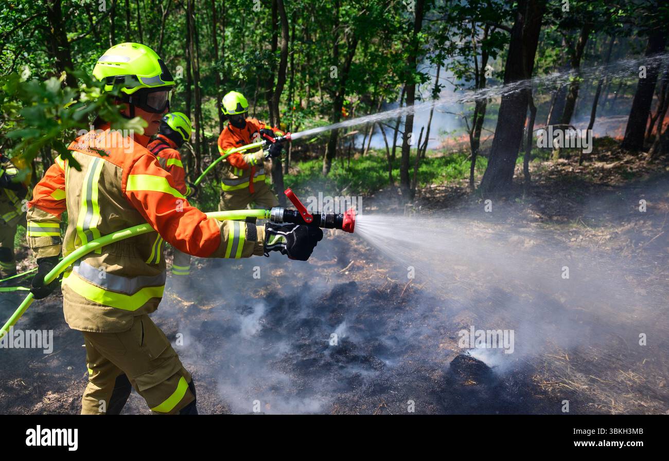 21 June 2025, Lower Saxony, Göhrde: Emergency services work during a ...
