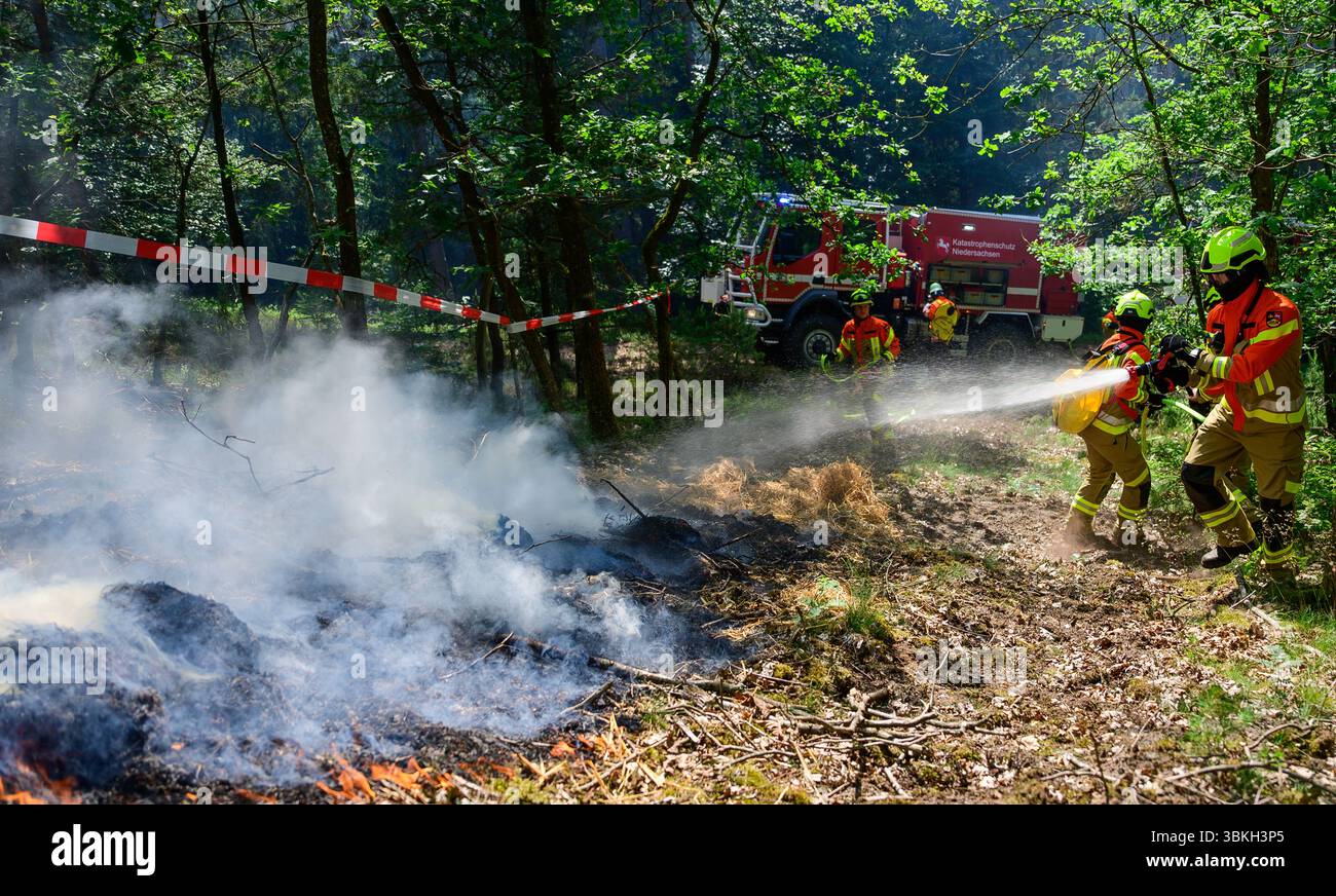 21 June 2025, Lower Saxony, Göhrde: Emergency services work during a ...