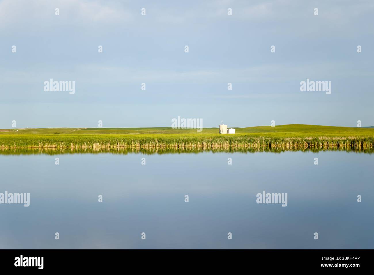 Ponds and marshes along the highways of Eastern Alberta Canada Stock ...